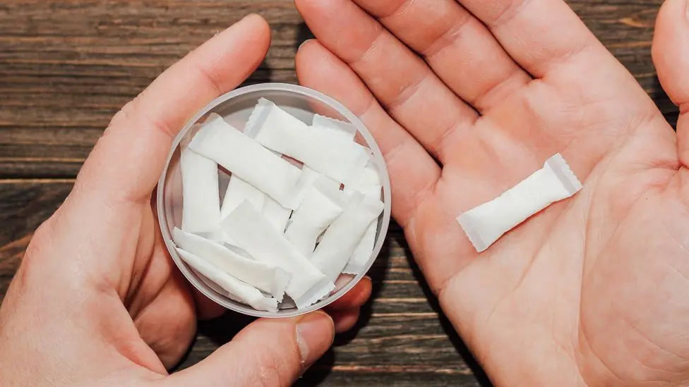 Was ist Snus? | Snusmania.eu | Alles über Snus