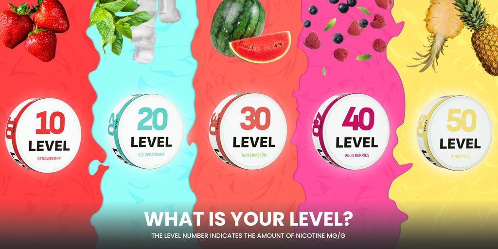 Snus and Nicotine Pouches | Buy Online Today | Snusmania.eu